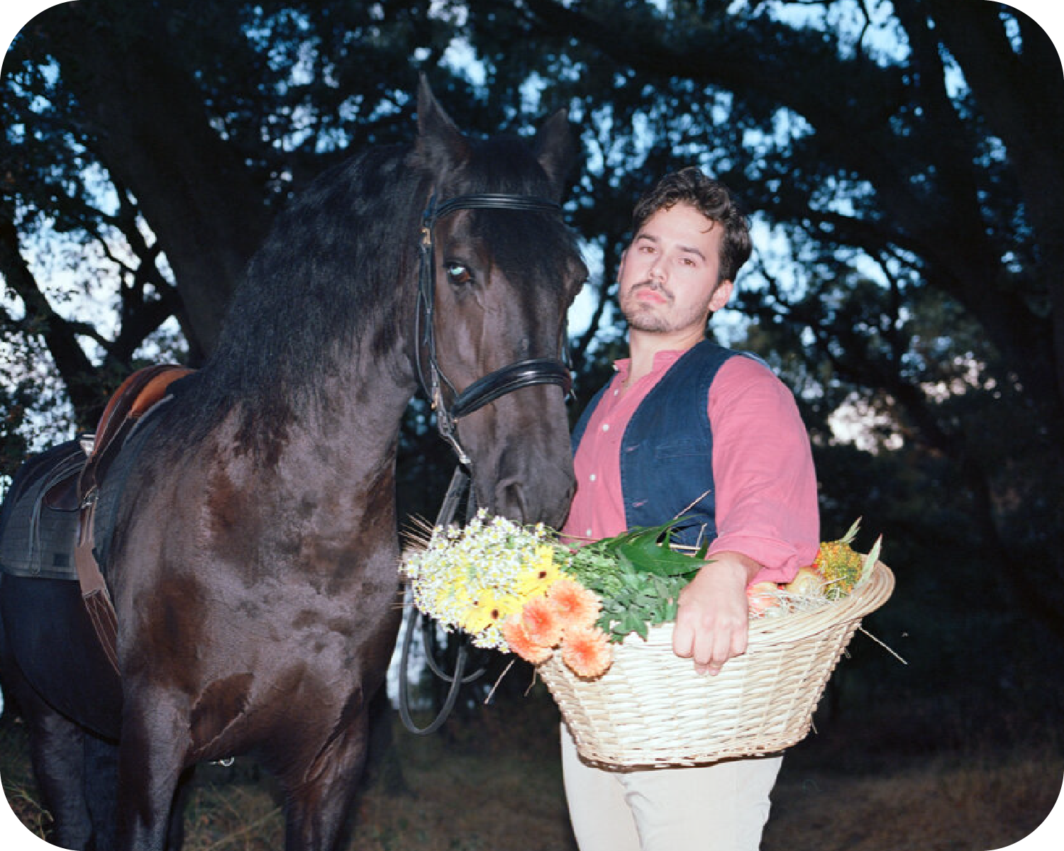 Living The Horse Girl Lifestyle With Shane Arthur Nathan – Calling All ...